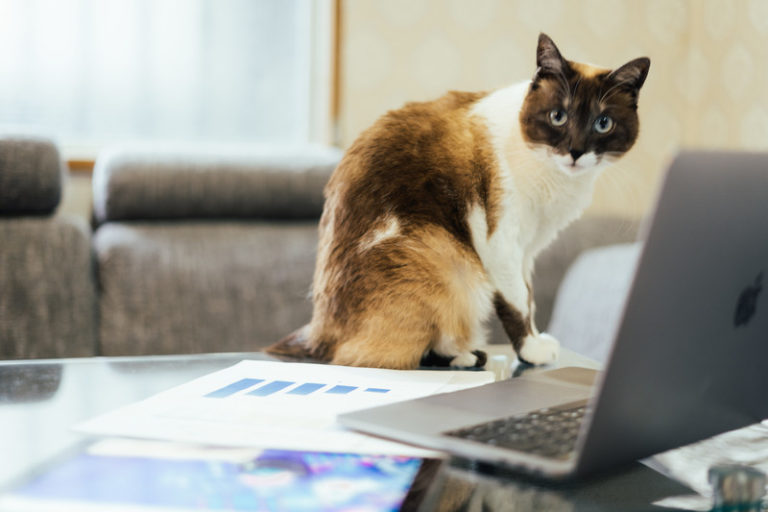 Excel Vba 「on Error」の使い方とエラー処理方法 やさしいexcelvba