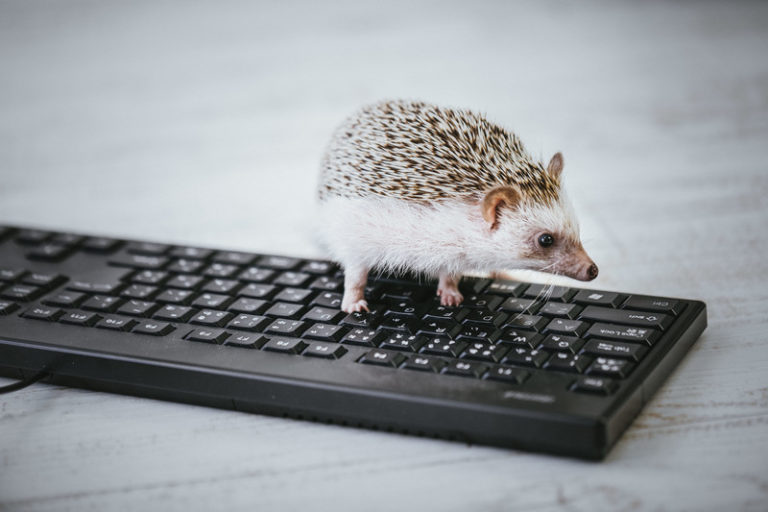 Excel Vba ユーザーフォーム上のリストボックスで選択されている値を取得する方法 やさしいexcelvba